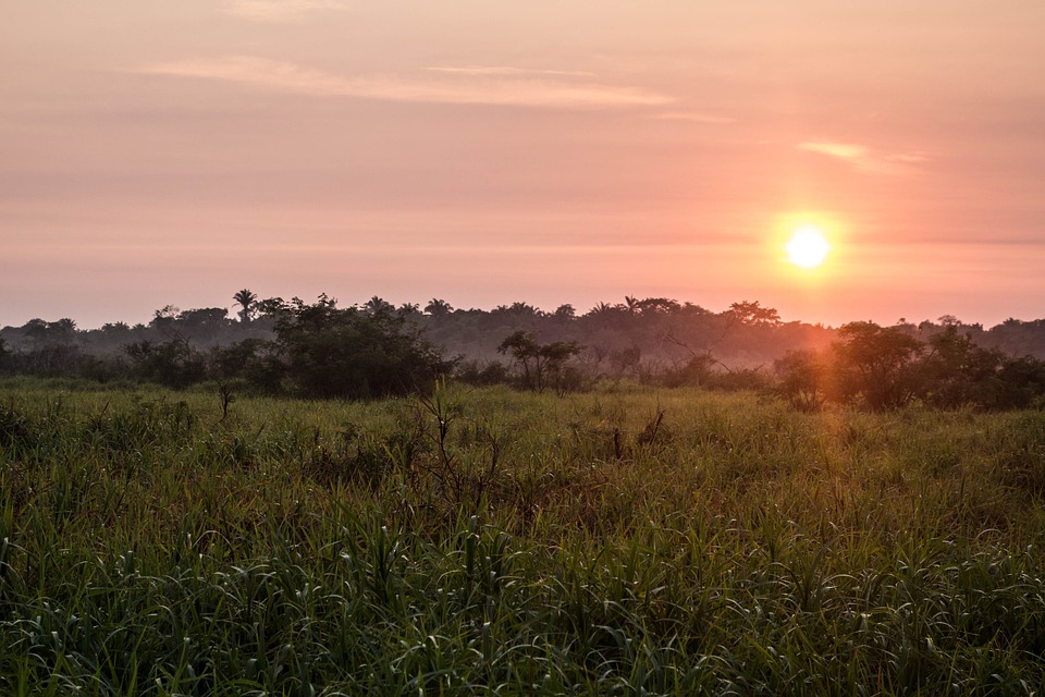 The Amazon Experience - Brazil Vacation Package - Holidays - Tailor ...